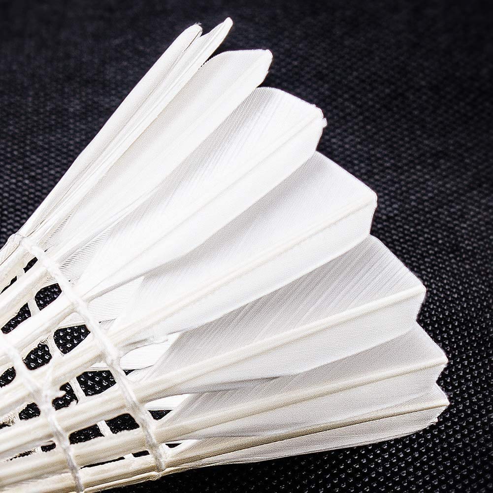 Snapklik.com : Senston A30 Badminton Shuttlecocks 6 Pack/Feather ...