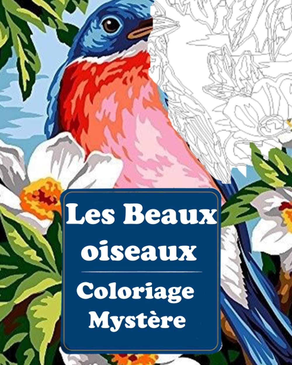 Buy Les Beaux Oiseaux Coloriage Mystére: livre de coloriage pour ...