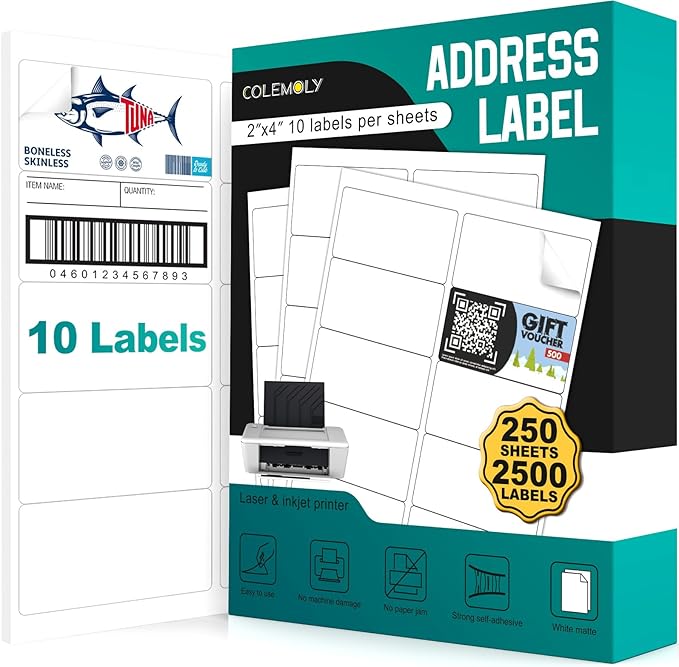 Amazon.com : 2x4 Labels Sticker Paper - 2500 Address Labels (250 Sheets ...