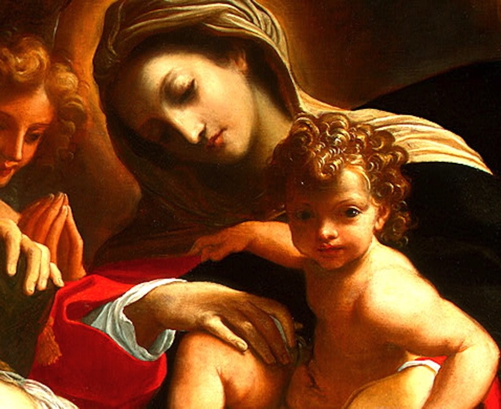 Amazon.com: Mater Amabilis eBook : Solow, Harrison : Kindle Store