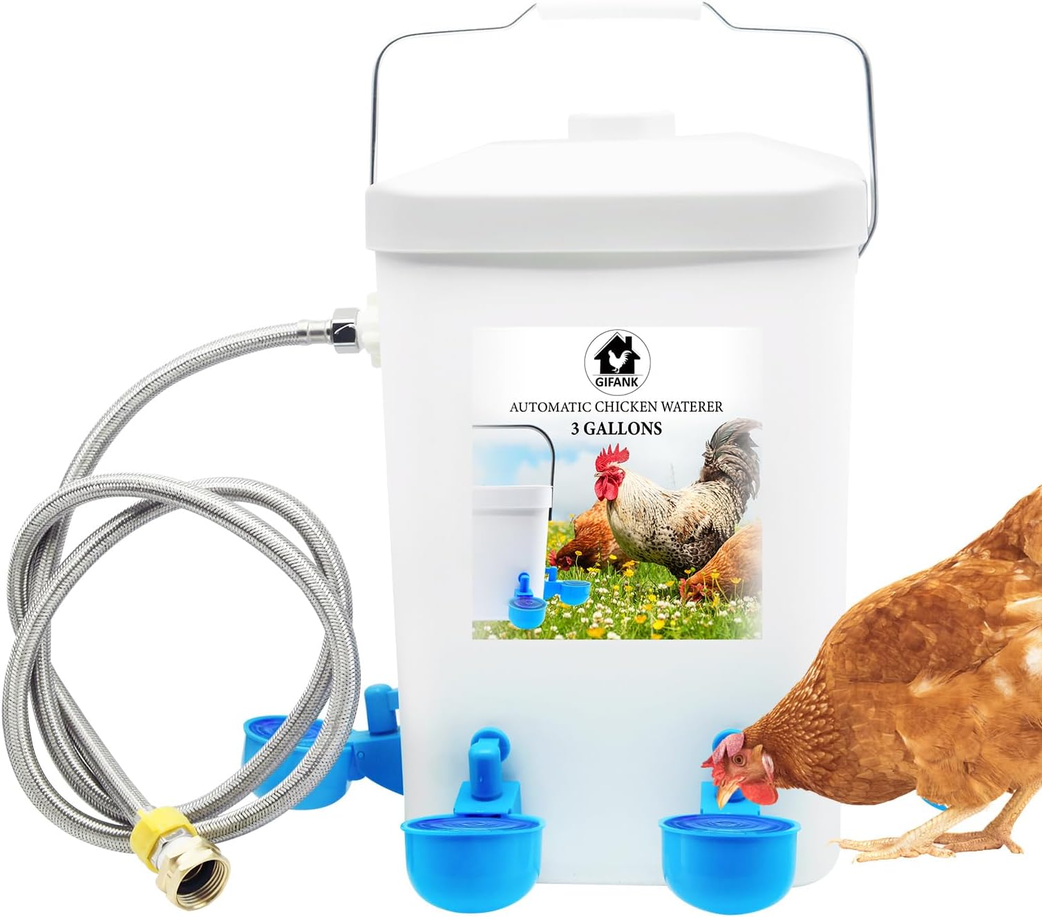 Amazon.com : Little Giant® Automatic Poultry Fount | Game Bird Fount ...