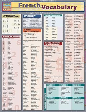 French Vocabulary QuickStudy Laminated Reference Guide (QuickStudy ...