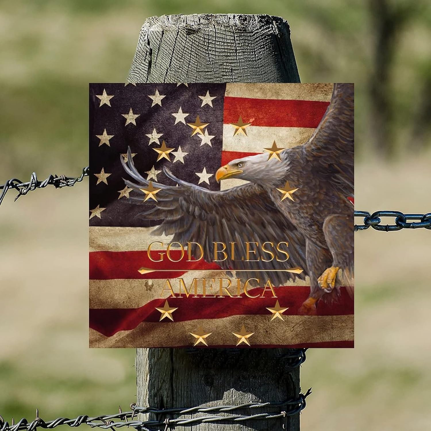 Amazon.com : American Patriotic Eagle Wooden Signs Retro Wall Plaque ...