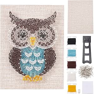 WEBEEDY DIY String Art Kit Cute Owl String Art Craft Kit Graduation ...