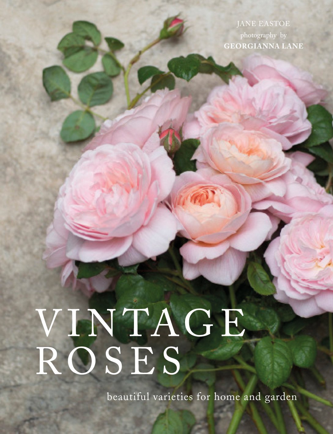 Amazon | Vintage Roses: Beautiful Varieties for Home and Garden ...