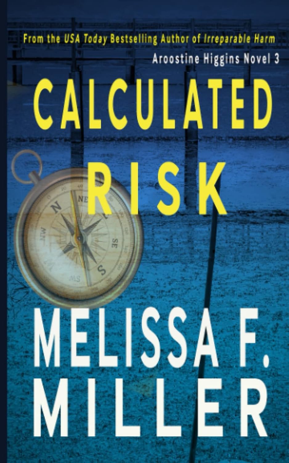 Calculated Risk (An Aroostine Higgins Novel): Miller, Melissa F ...