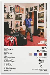 Amazon.com: L.I.L Tecca – Tec Album Cover, Canvas Poster, Room 8x12 ...