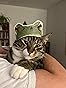 Cat Hats: Sixteen Paper Hats to Put on Your Unsuspecting Kitty ...