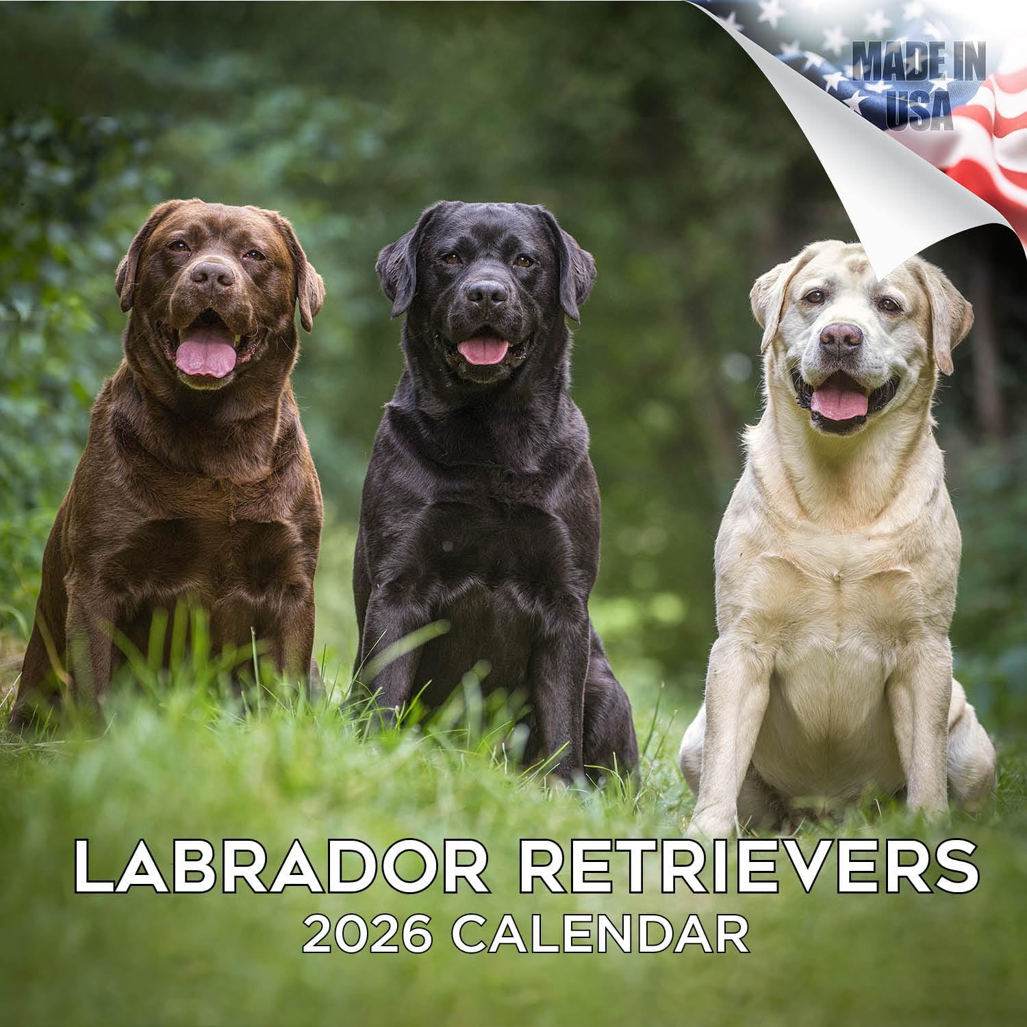 Labrador Retriever Calendar 2026 – 16-Month Dog Breed Wall Calendar by ...