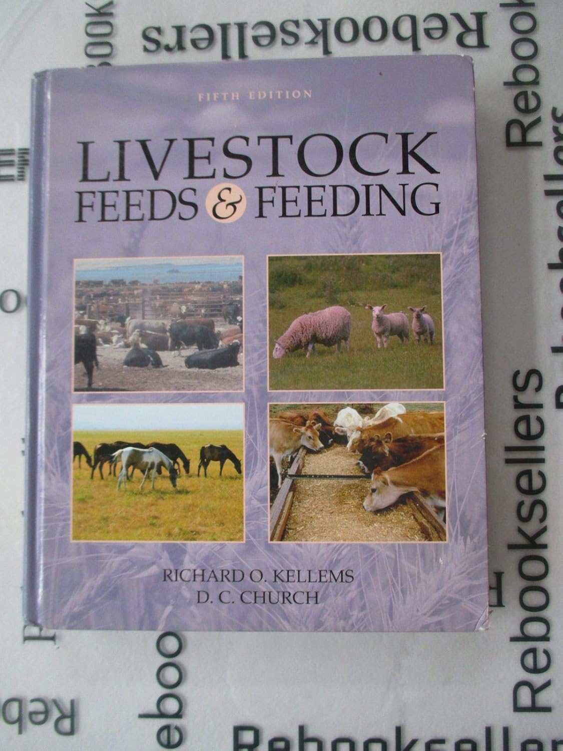 Livestock Feeds And Feeding at Louise Costa blog