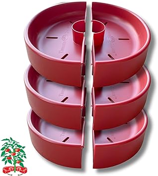 Amazon.com : Tomato Crater Vegetable Garden Watering Tray, Directs ...