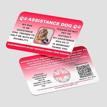 Assistance Dog UK Law Card -3 Personalized Dog Tags and Assistance Dog ...