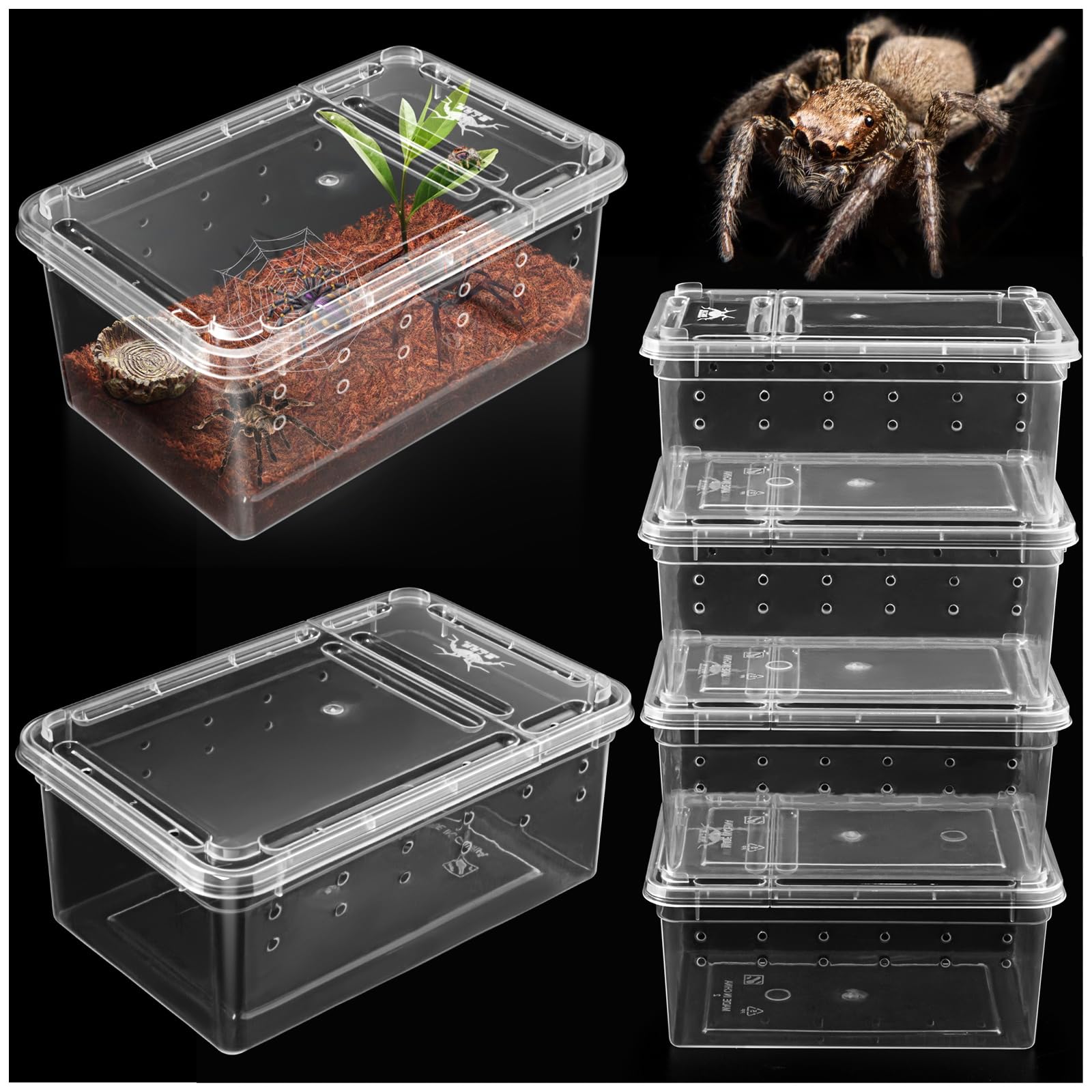 Snapklik.com : Small Jumping Spider Enclosure - 6 Pack Spider Terrariums