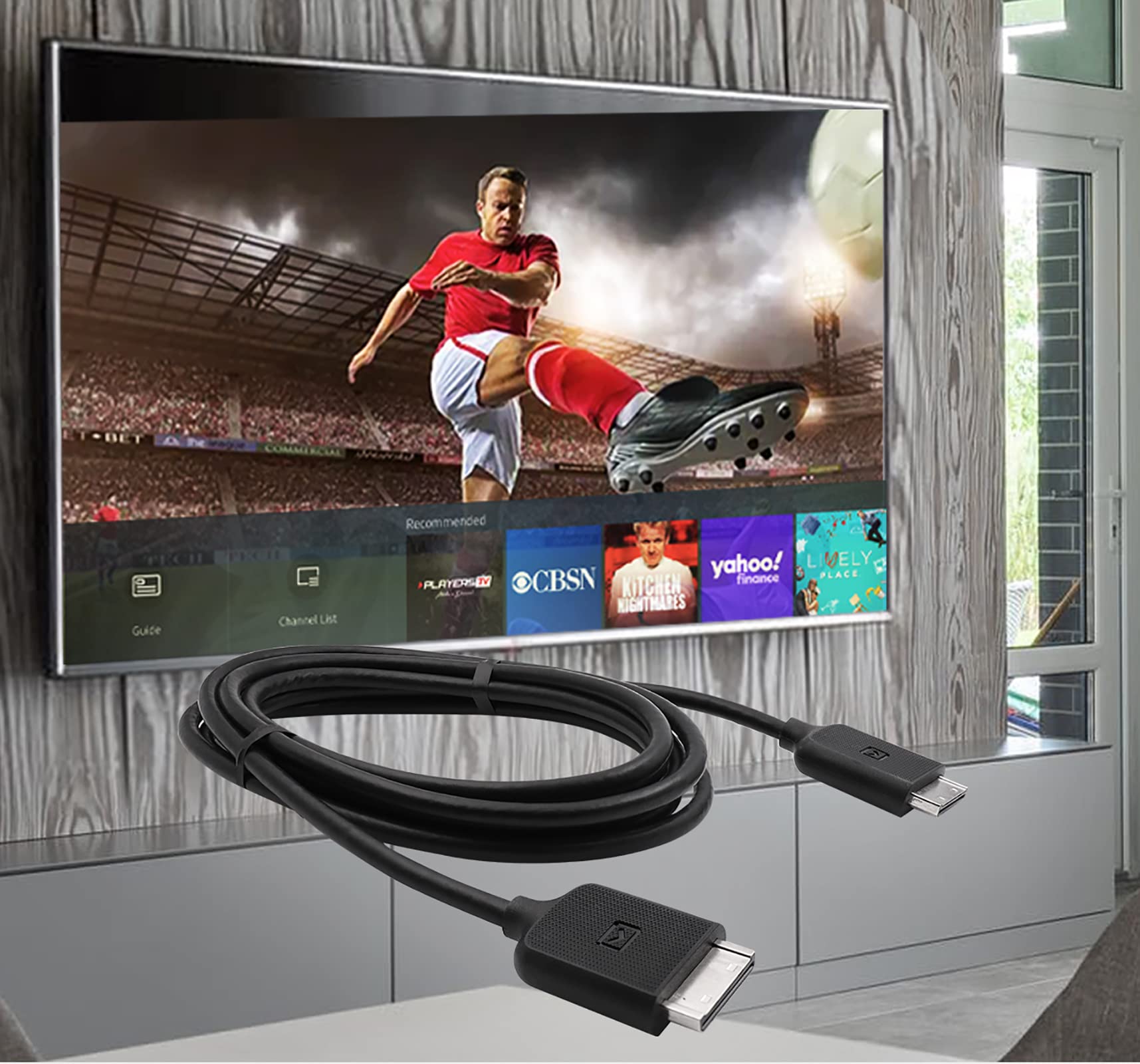 Snapklik.com : BN39-02210A BN96-44186A BN91-17814A BN91-17814W Replacement One Connect Cable