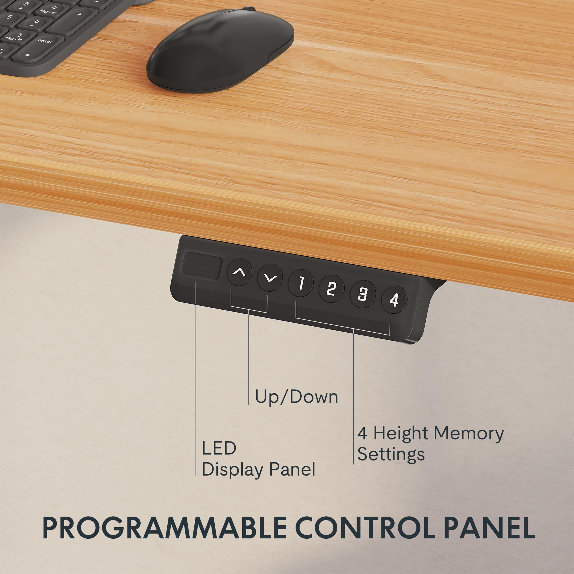 Snapklik.com : FLEXISPOT Stand Up Desk 3 Stages Dual Motor Electric ...