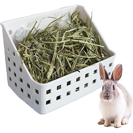 Amazon.com : Shuoxpy Rabbit Hay Feeder Rack, Guinea Pig Wooden Carriage ...