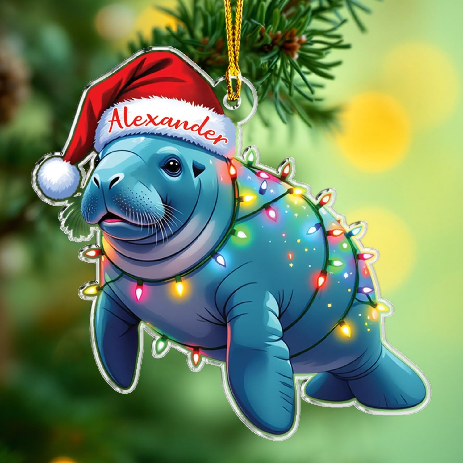 Amazon.com: Customized Name Sea Manatee Keepsake Decor, Manatee Sea ...
