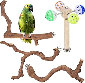 Amazon.com : 4-Piece Bird Perch Set with Rotating Ball Stand - Natural ...