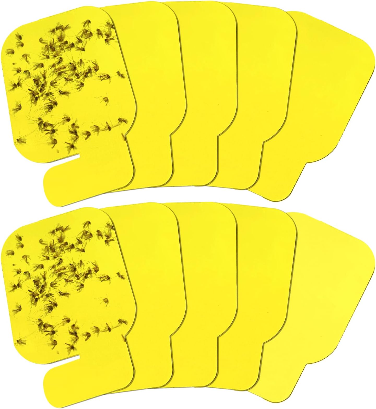 Amazon.com : Flying Insect Trap Plug-in Indoor with 20 Sticky Refills ...