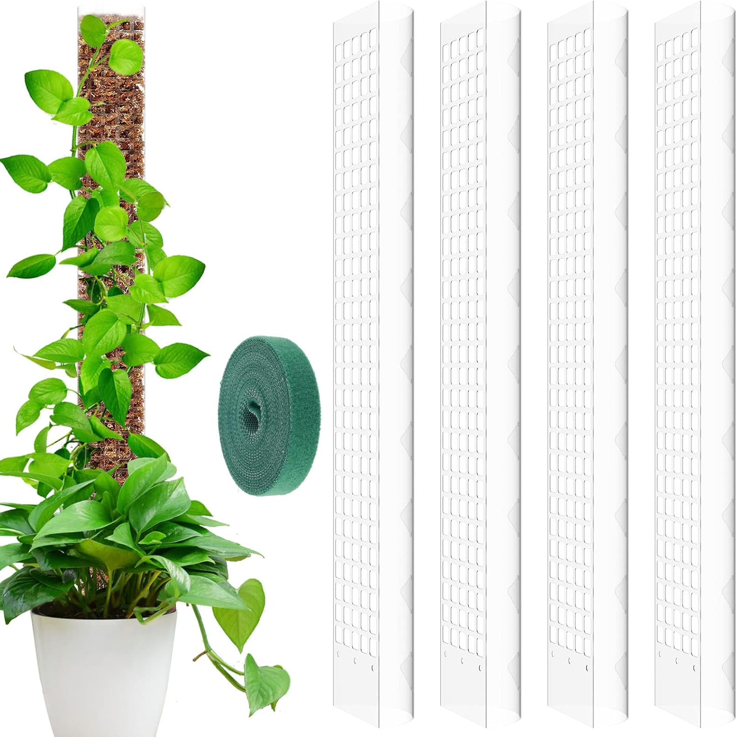 Amazon.com : Tzdxfgl 24" Plastic Moss Poles for Botany Monstera, Semi ...