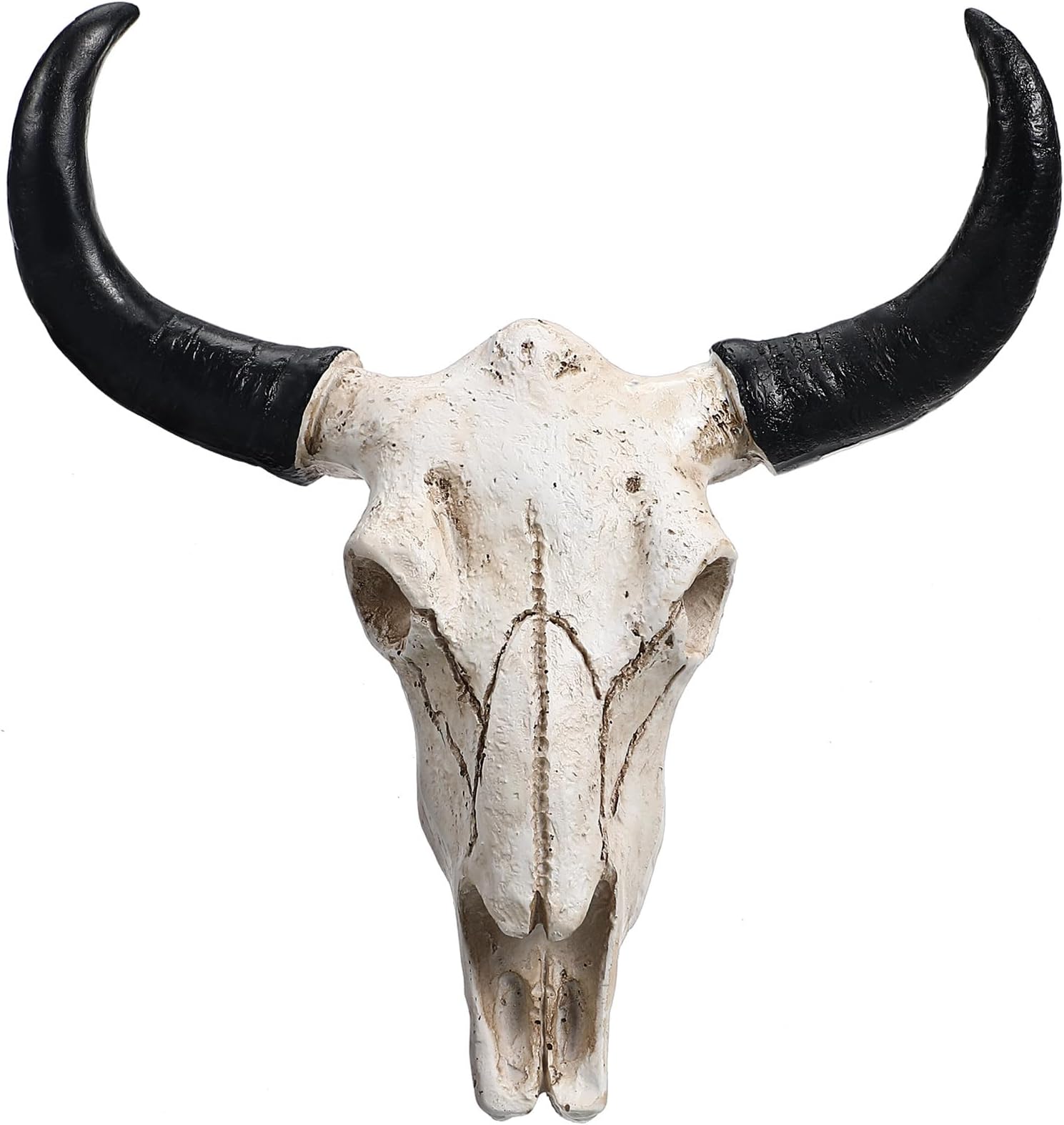 Alchemy Gothic Omega Raven Skull : Amazon.co.uk: Home & Kitchen