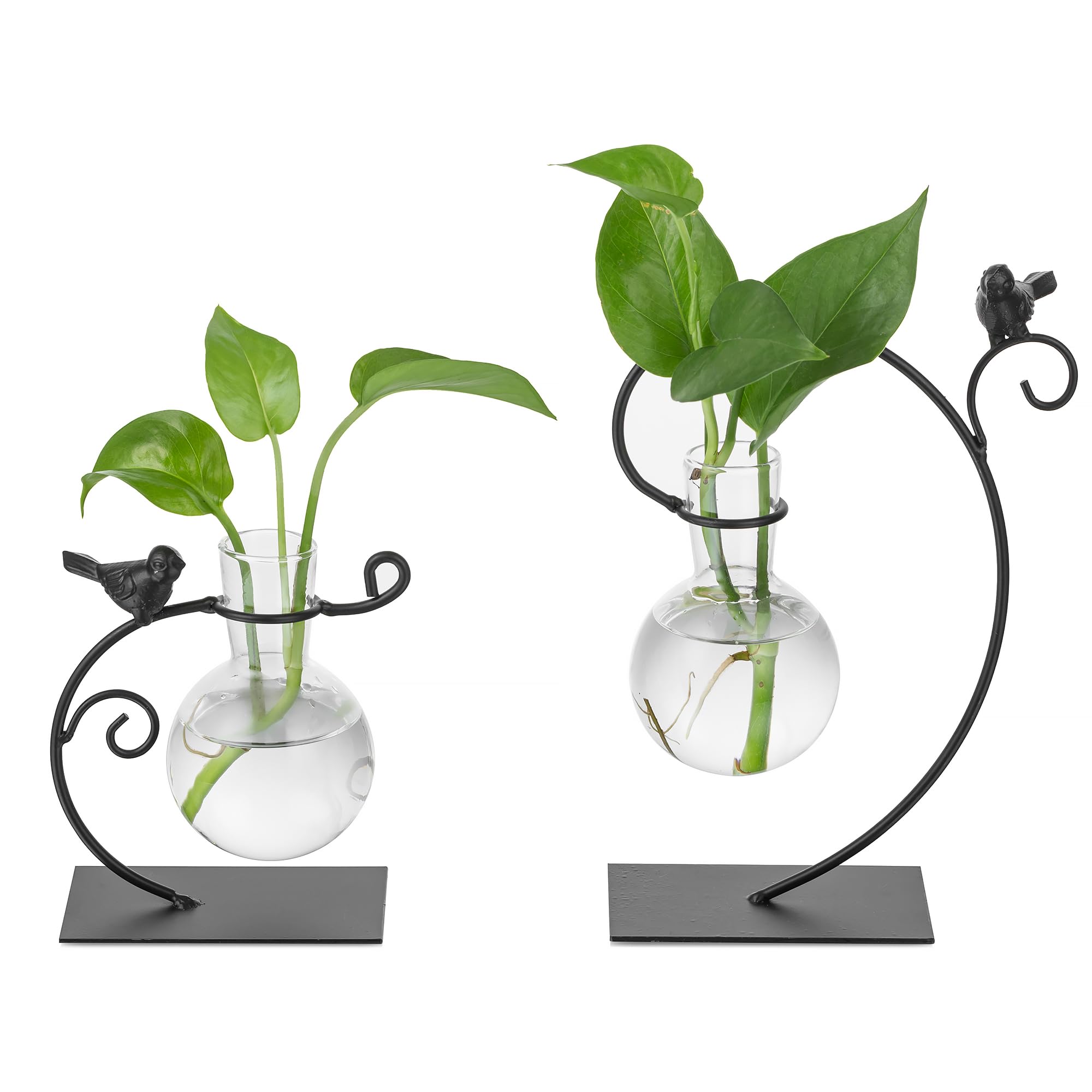 Amazon.com: Sziqiqi Planter Hydroponics Desk, 2Pcs Glass Planter with ...