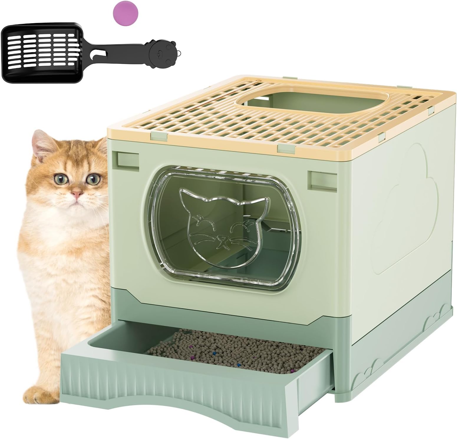 Amazon Basics - Caja de arena con capucha para gatos, 21 x 16 x 15 ...