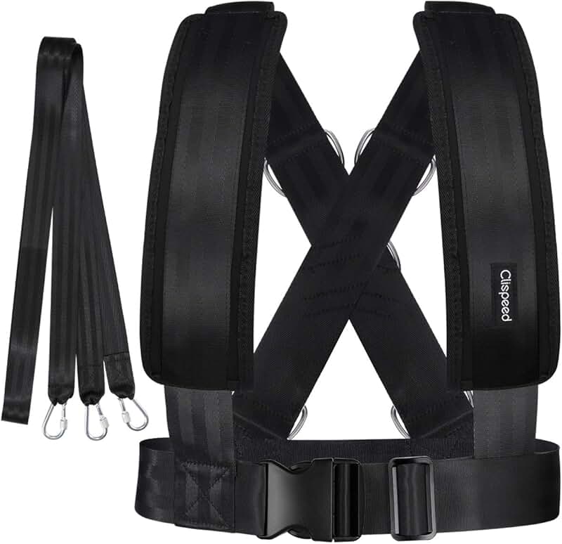 Amazon.com: sled harness