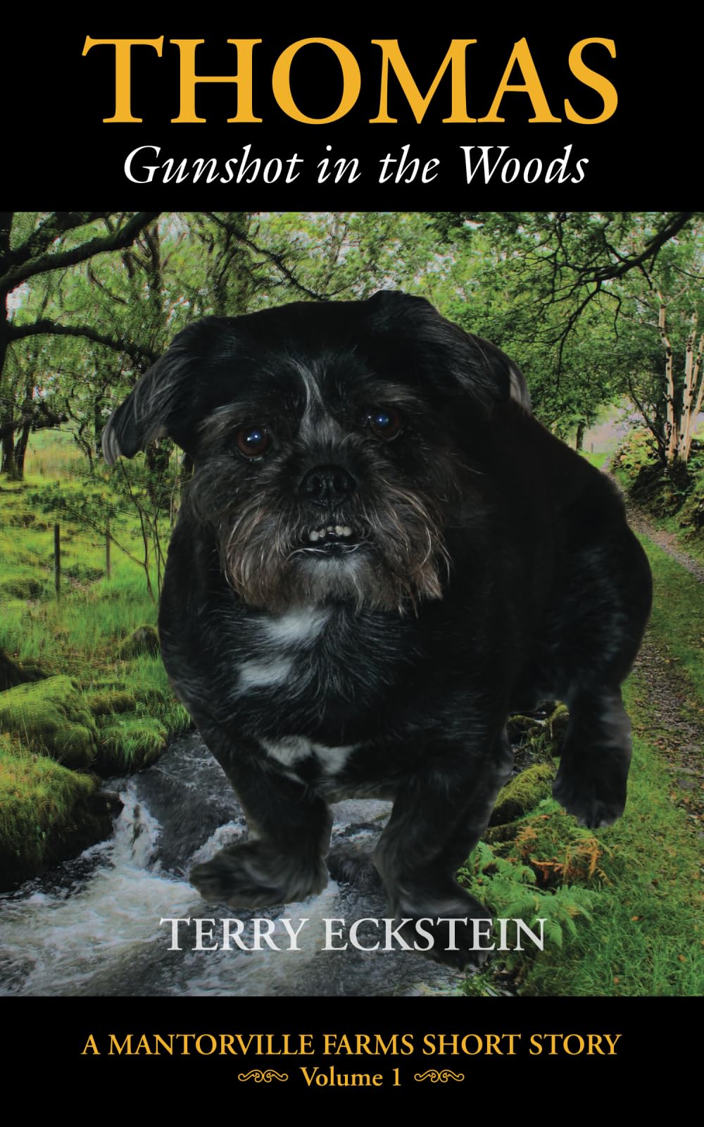 Amazon.com: Thomas: Gunshot in the Woods: 9781943501007: Thorson, Hank ...