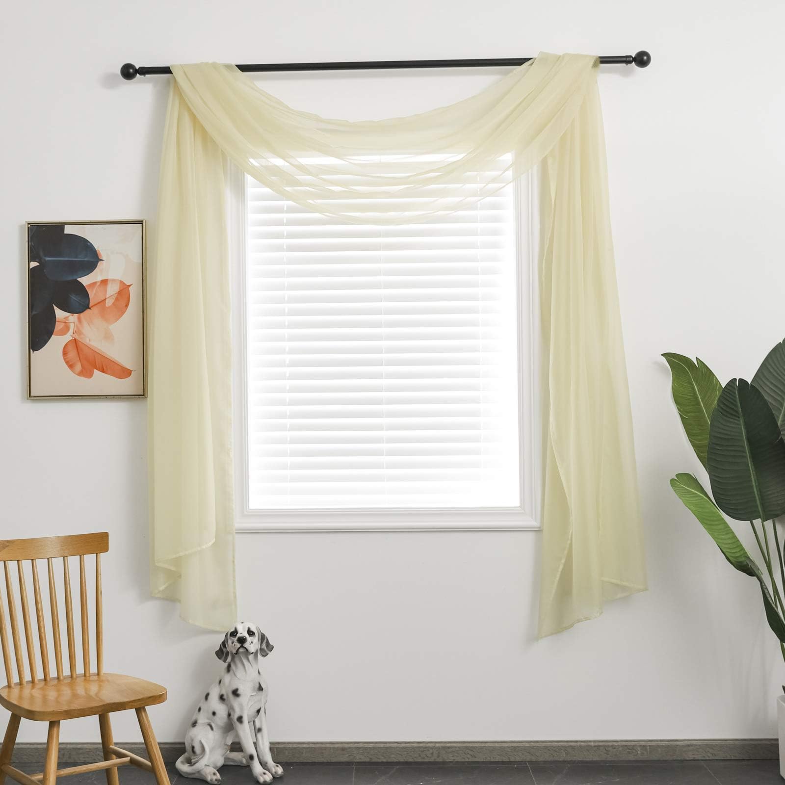 Amazon.com: LinenTopia Window Scarf Valance Curtains - Extra Long Sheer ...