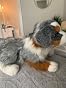 Amazon.com: Douglas Sinclair Australian Shepherd Dog Plush Stuffed ...