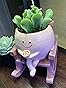 Amazon.com: ﻿Swinging Smiley Face Plant Pot, Cute Head Swing Planter ...