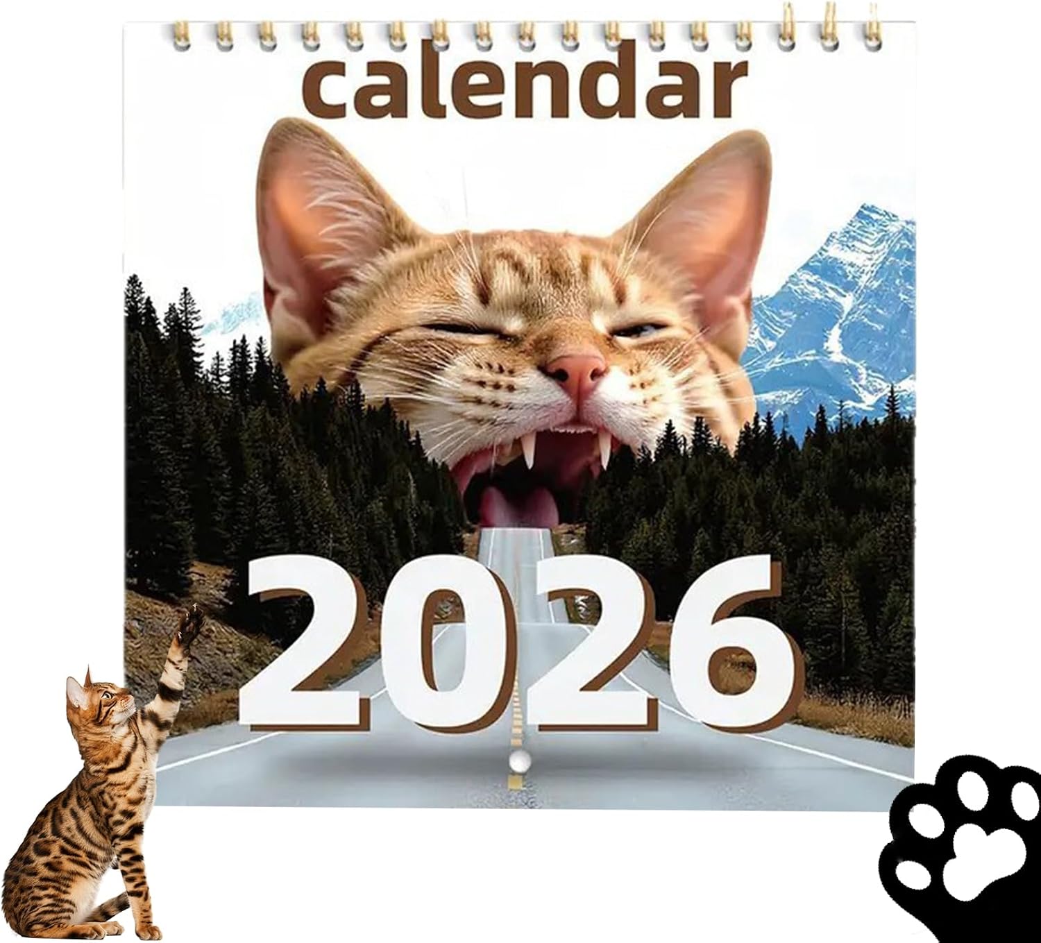 Cat Calendar 2026, 2026 Calendar UK Grumpy Cat Wall Cute Cats Design ...