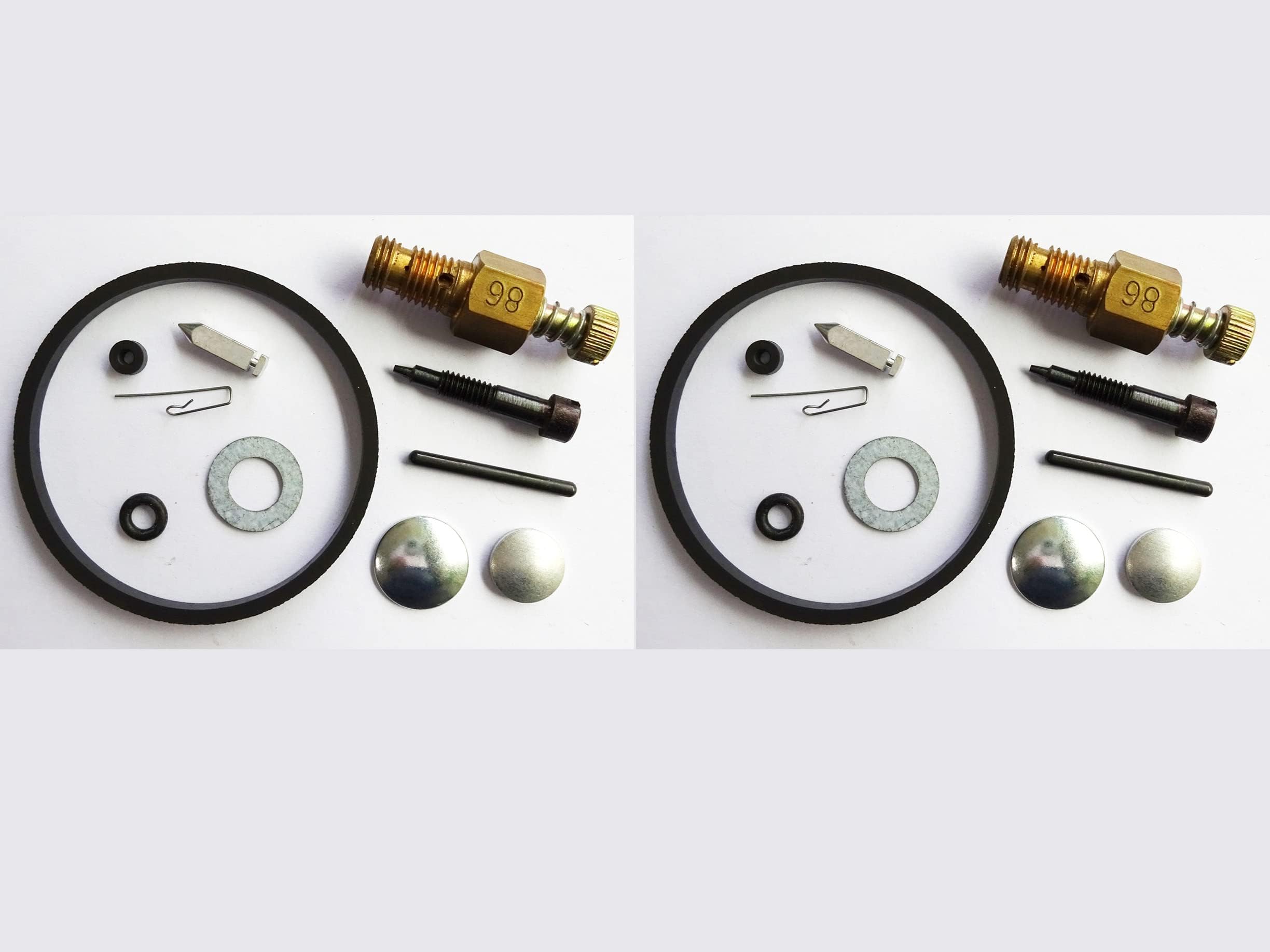 Amazon.com: C·T·S Carburetor Repair/Rebuild Kit Replaces Tecumseh ...