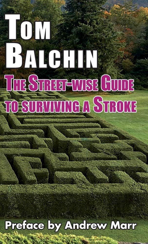 The Street-wise Guide to Surviving a Stroke (Street-wise Guides ...