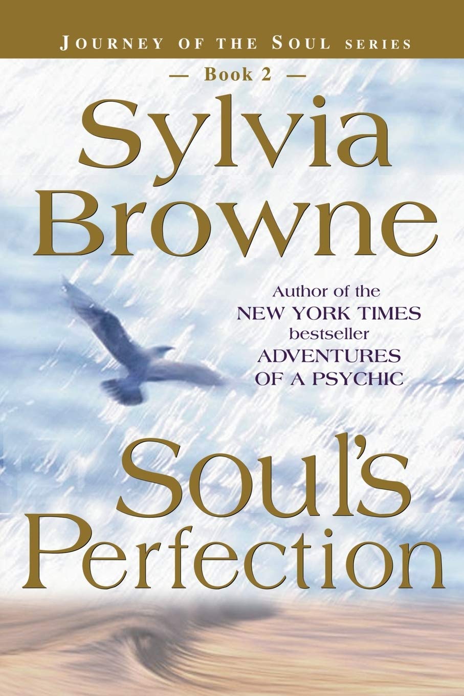 Amazon.com: Soul's Perfection (Journey of the Soul's Service, Book 2 ...