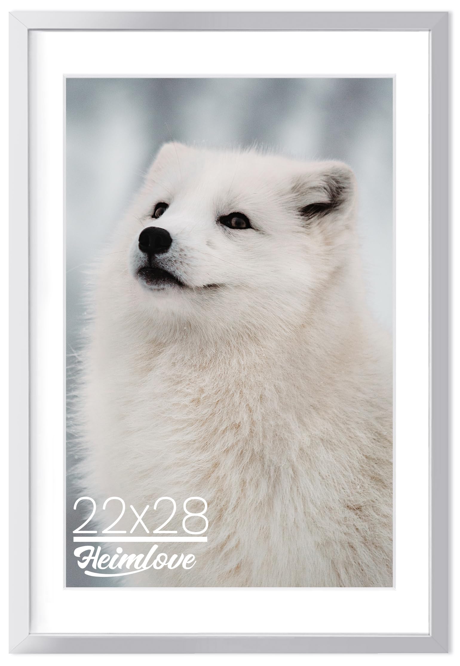 Amazon.com - Heimlove 22x28 Aluminum Picture Frames, Large 22x28 Poster ...