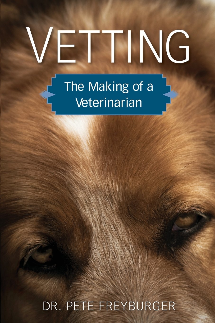 Vetting: The Making of a Veterinarian: Freyburger, Dr. Pete ...