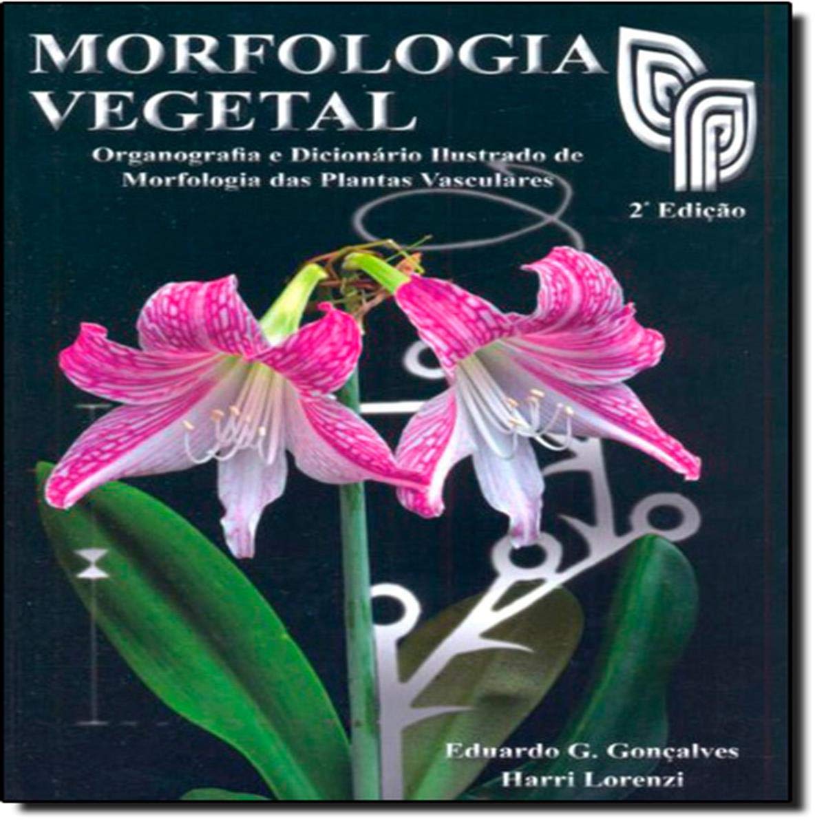 Amazon.com: Morfologia Vegetal 2ª Edicao: 9788586714382: Eduardo ...