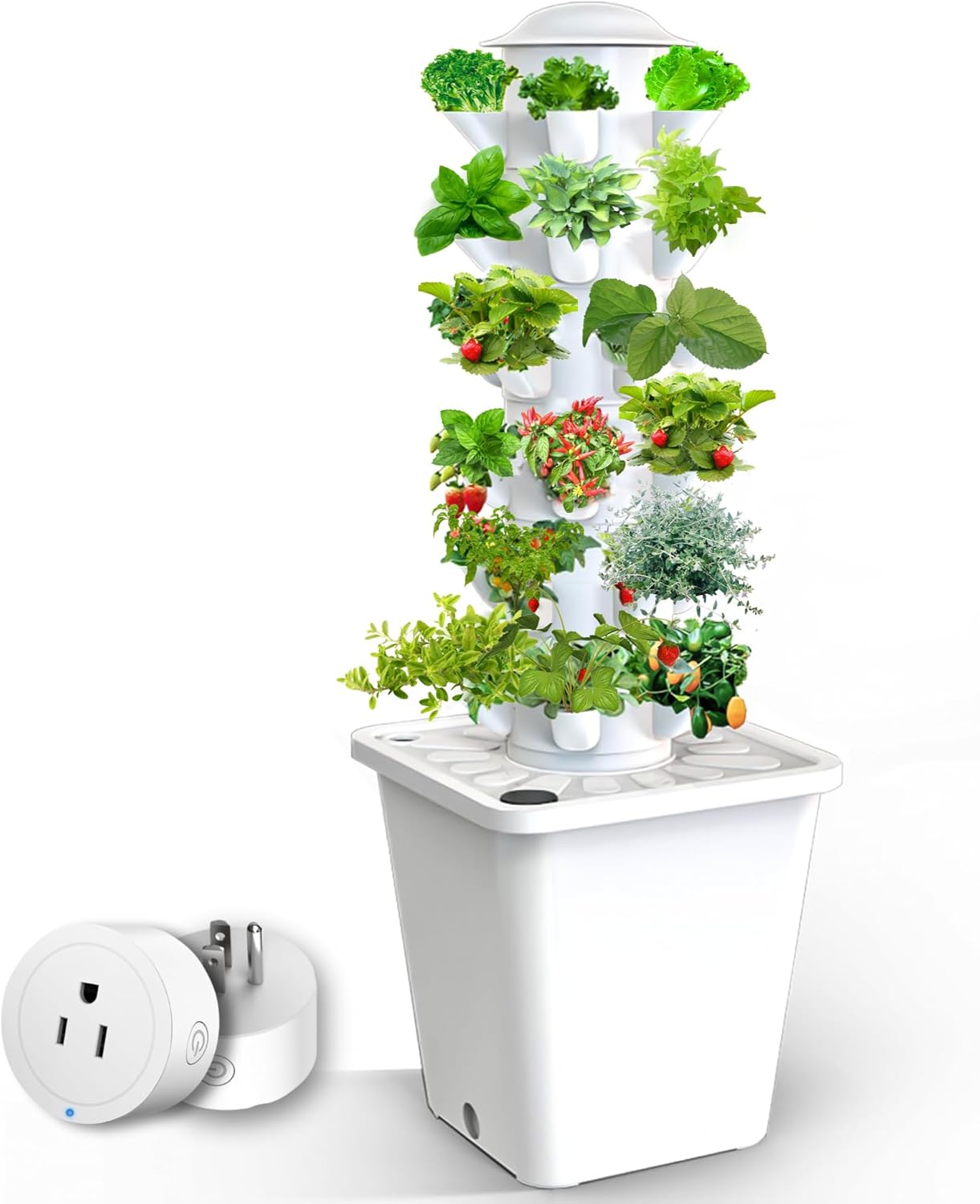 Solaroxy Hydroponics Growing System, Garden Hydroponics Growing System ...