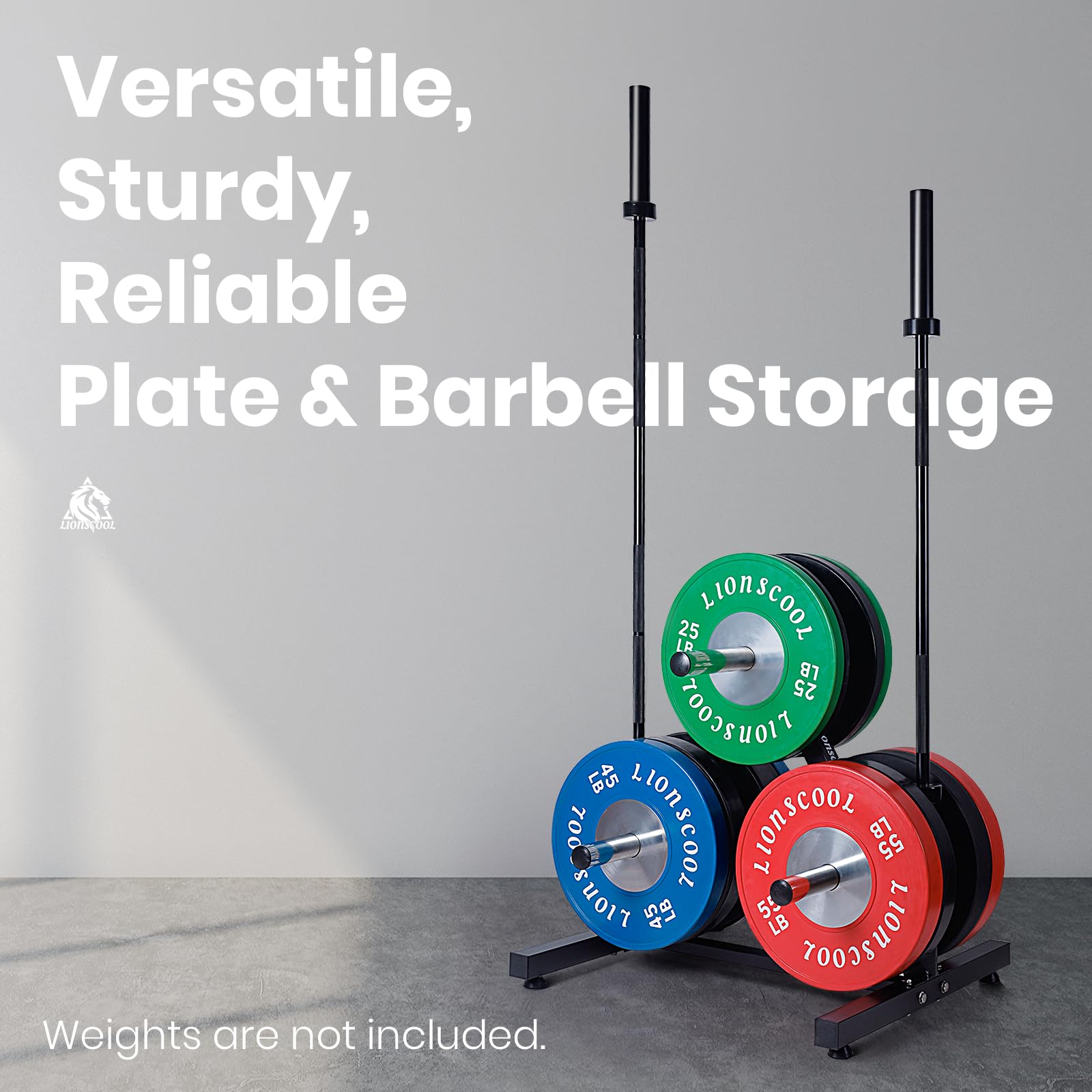 Snapklik.com : LIONSCOOL 2-Inch Olympic Weight Plate Tree And 2 Barbell ...