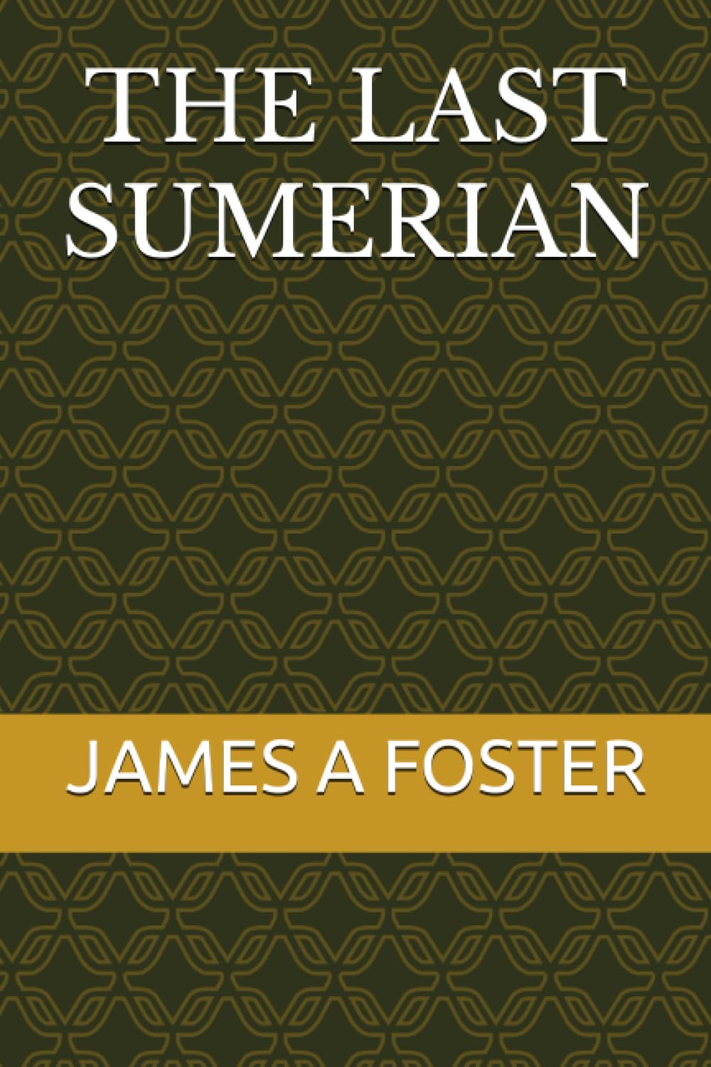 THE LAST SUMERIAN: FOSTER, JAMES A: 9798857864272: Amazon.com: Books