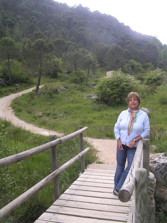 Amazon.co.uk: Mary Morris: books, biography, latest update