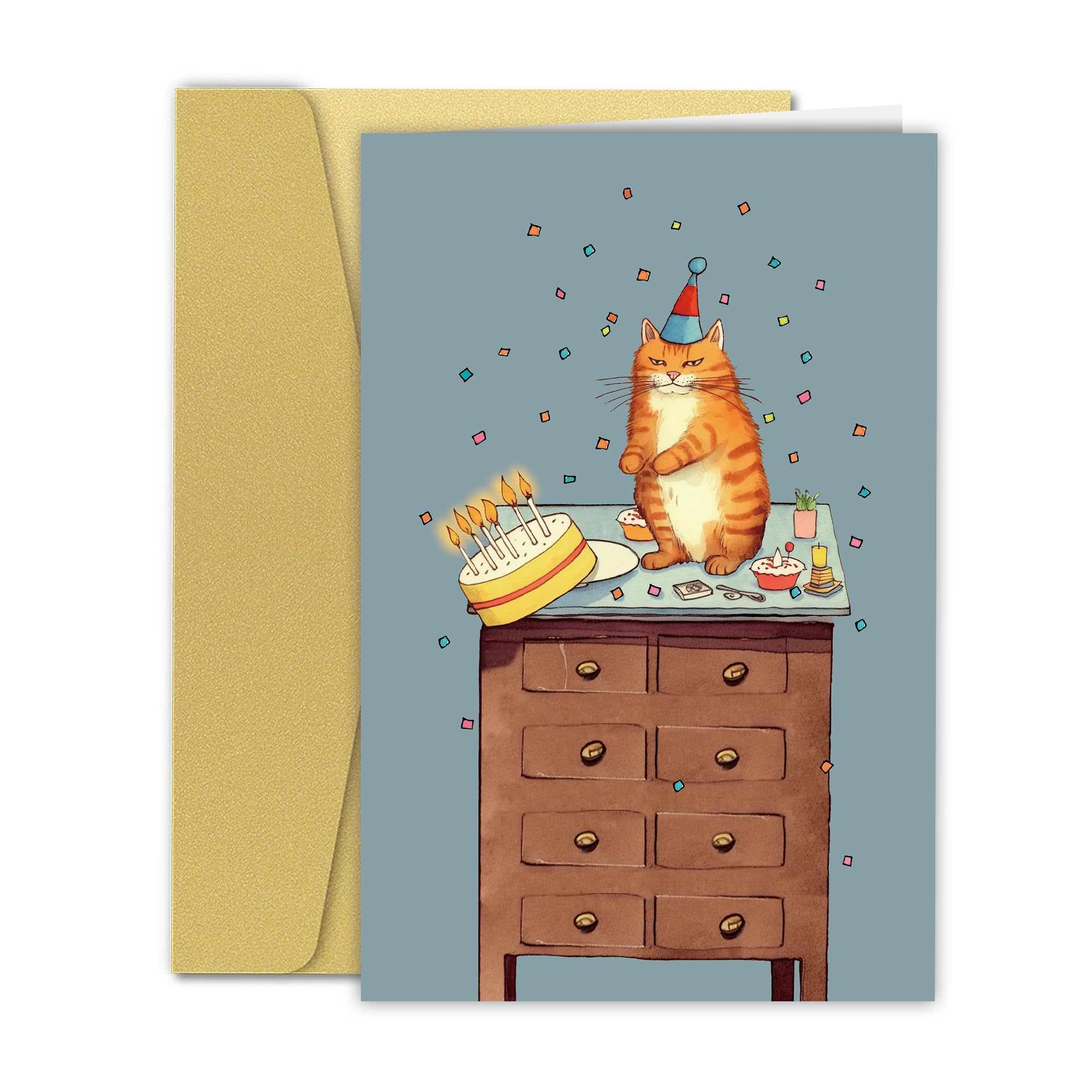 Amazon.com : Smnwinsl Funny Cat Birthday Card,Cute Birthday Gift Card ...