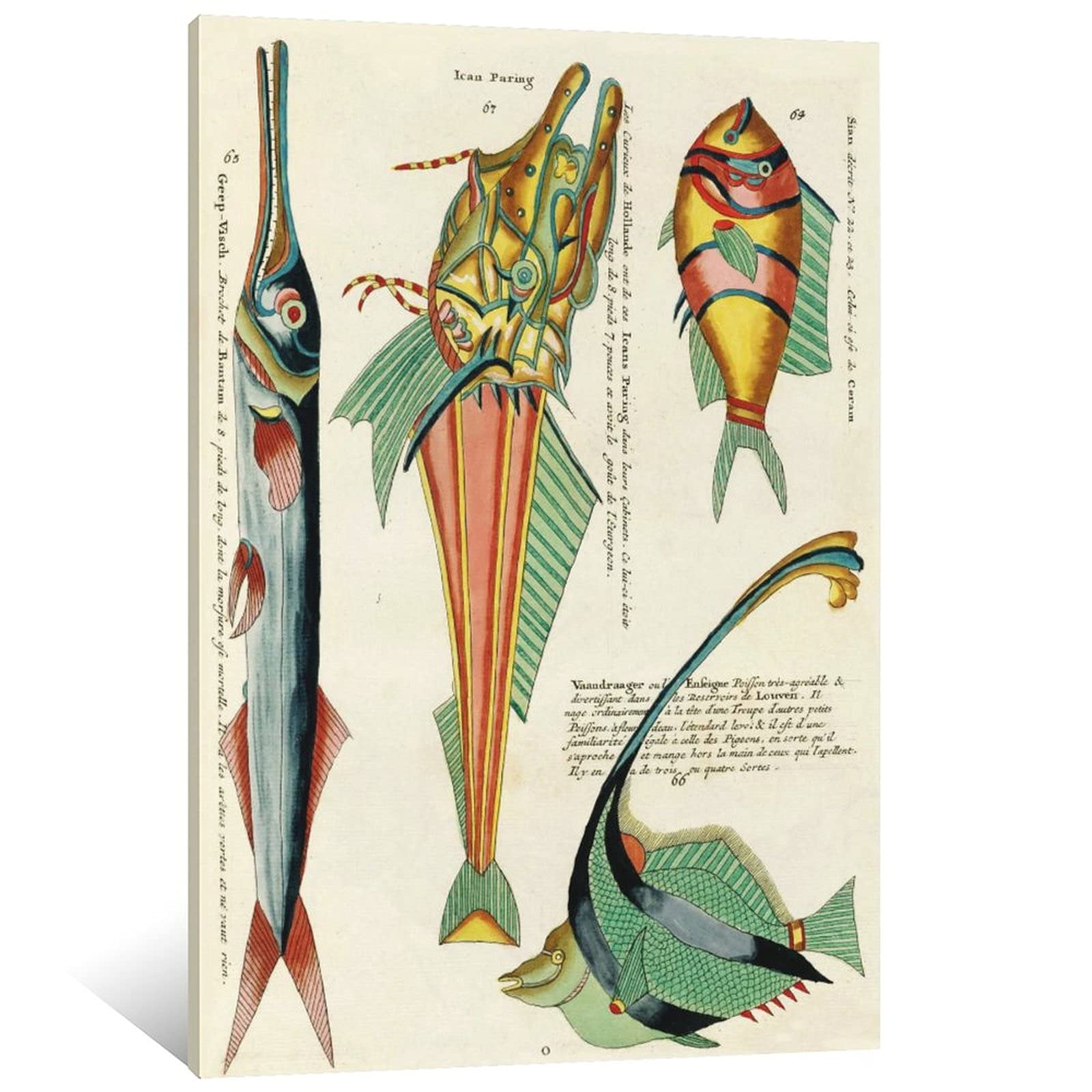 Vintage Fish Illustration