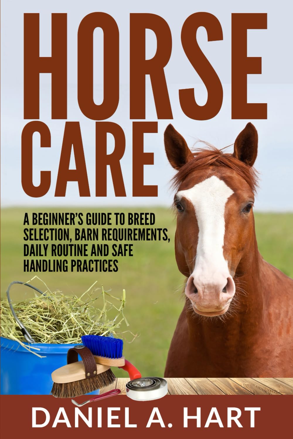 Horse Care: A Beginner’s Guide to Breed Selection, Barn Requirements ...