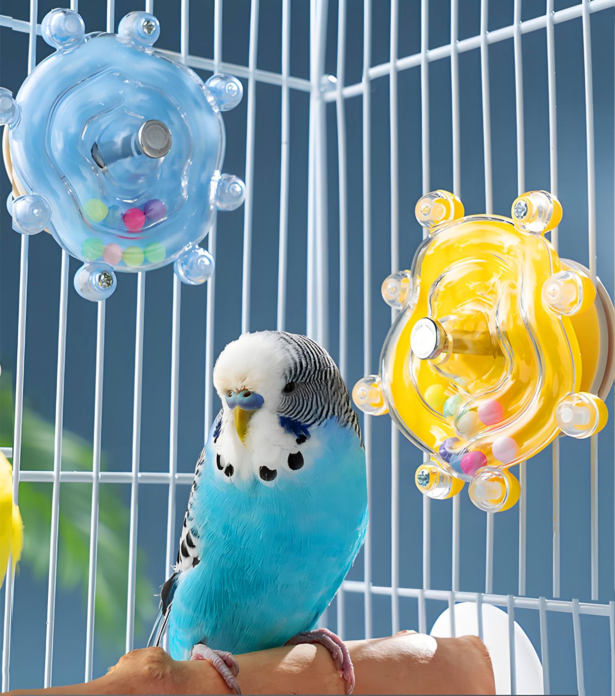 Amazon.com : CTAILSOD Bird Toys, 2PCS Conure Rotating Wheel Toy ...