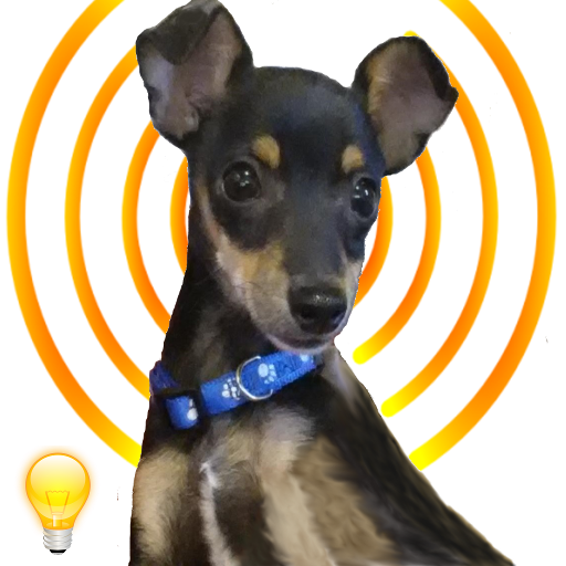 Animal Chatter Lite - App on Amazon Appstore