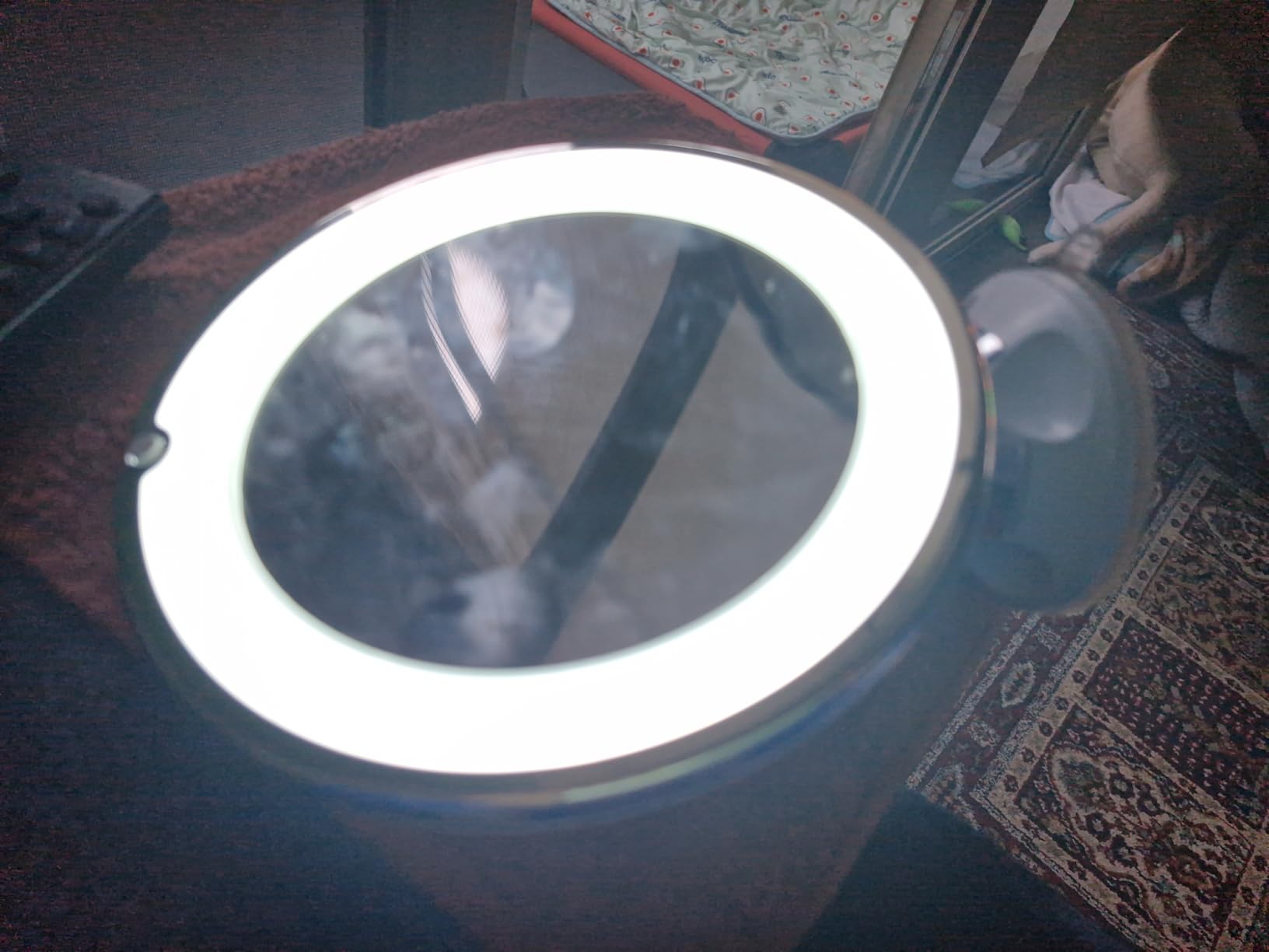 Lighted Magnifying Mirror, 10x Magnifying LED Lighted Makeup Mirror ...