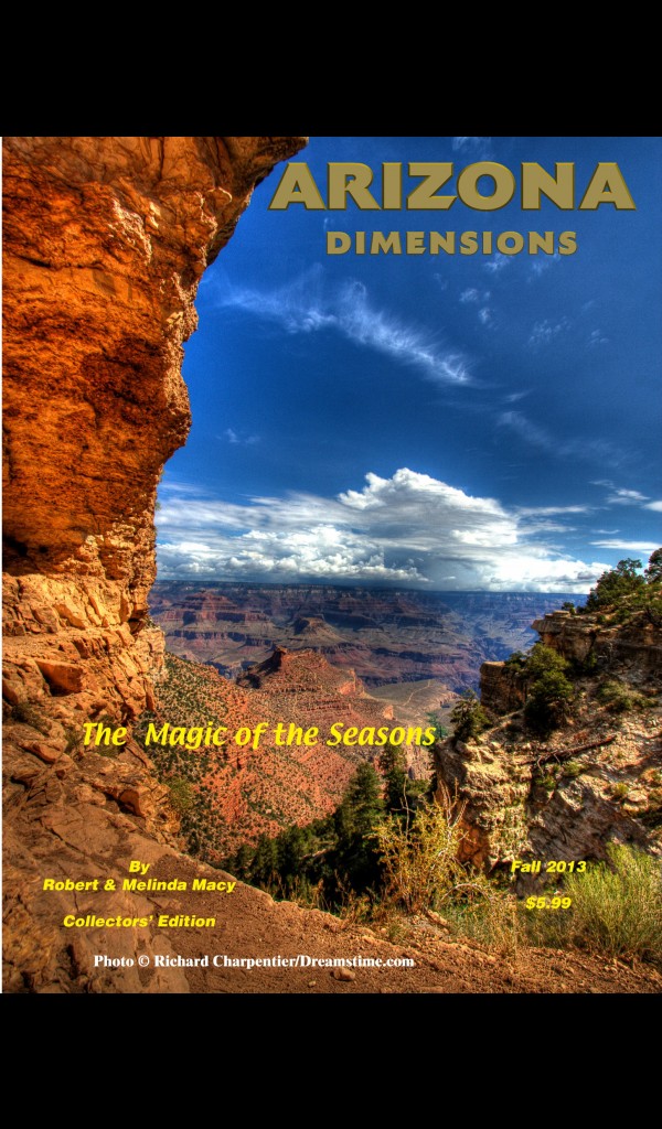 ARIZONA DIMENSIONS (Kindle Tablet Edition) - App on Amazon Appstore